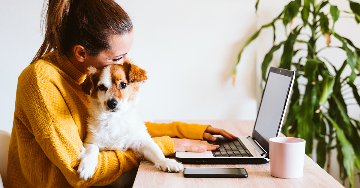 Simple alkalmazás - Simple